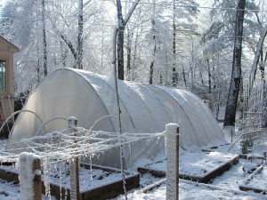 $600 Movable Hoop House: Details, Pictures and Cost Analysis – Robin ...