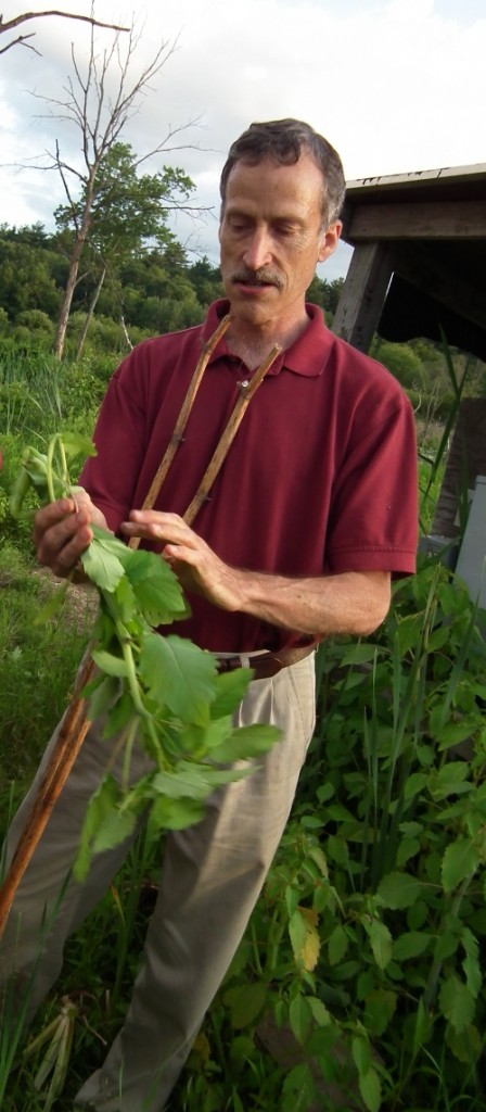 Edible Wild Plants Walk with John Root, and Homegrown Mallow – Robin ...